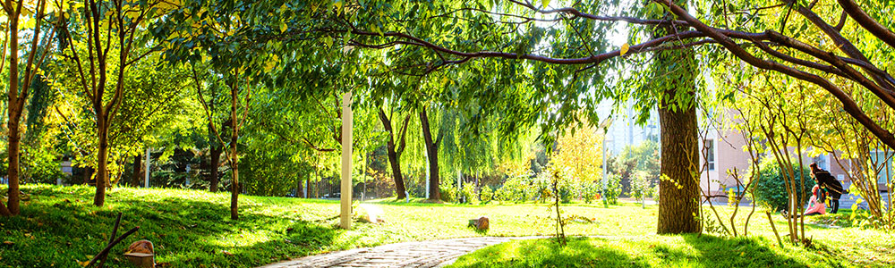 新闻动态-北京舞蹈学院后勤基建处